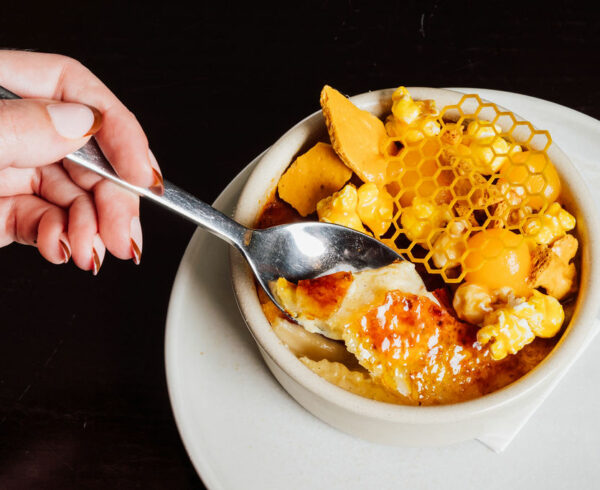 Eat & Drink At Spring Lake Hotel - Springfield QLD